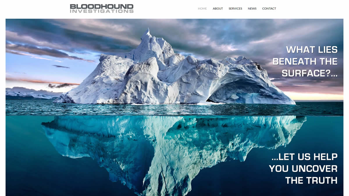 Bloodhound Investigations - Freelance-Creator